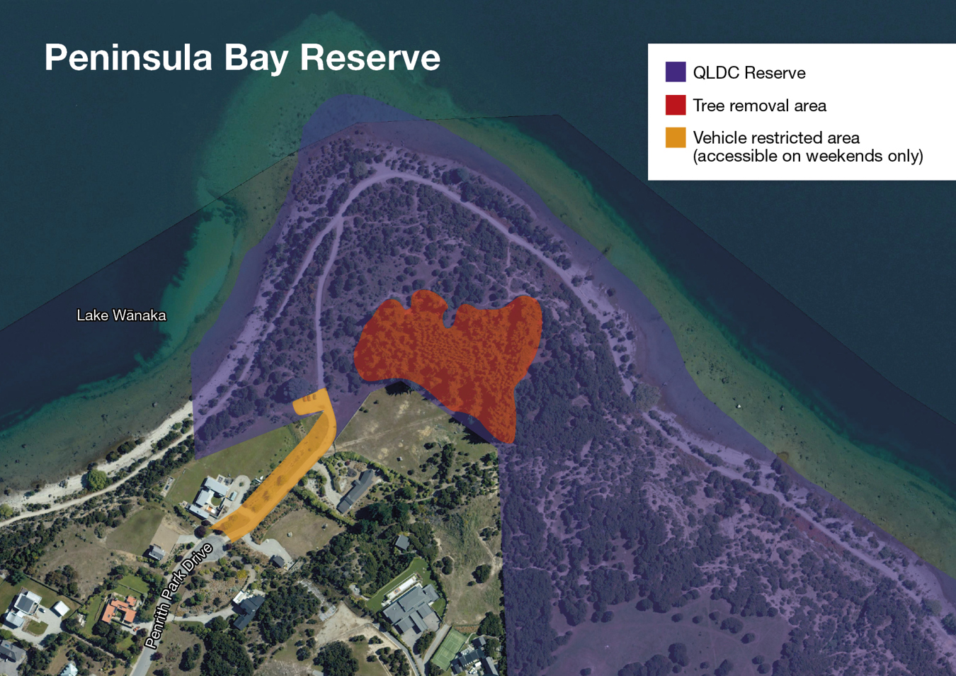 QLDC - Peninsula Bay Reserve Regeneration