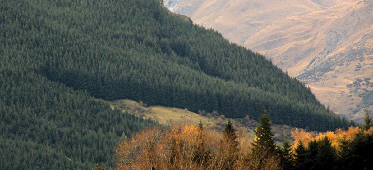 19 11 28 Coronet Forest contract awarded | Queenstown Lakes District ...